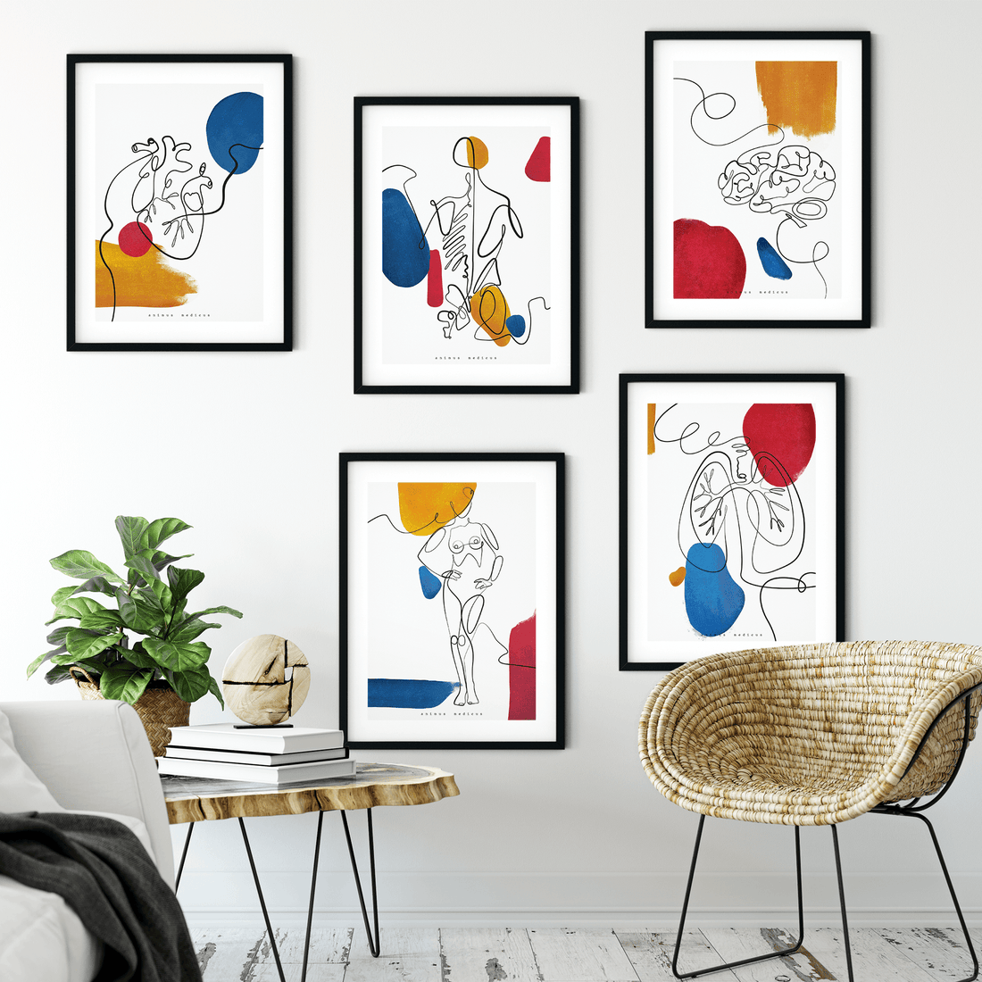 Aorta Verlauf im Körper: Der Weg der Hauptschlagader verstehen – Animus ...