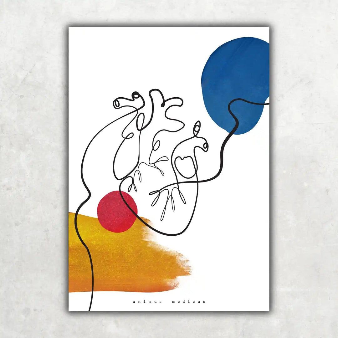 Anatomie Hüfte Muskeln: Verständlich erklärt & übersichtlich